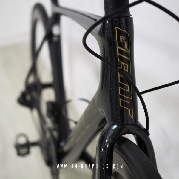 Giant TCR Advanced Disc 2021 - JM Graphics